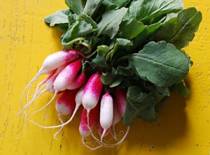 In season now: French breakfast radishes – Blue Kitchen